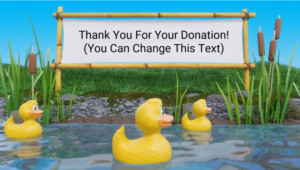 Why Virtual Duck Race Fundraising Works