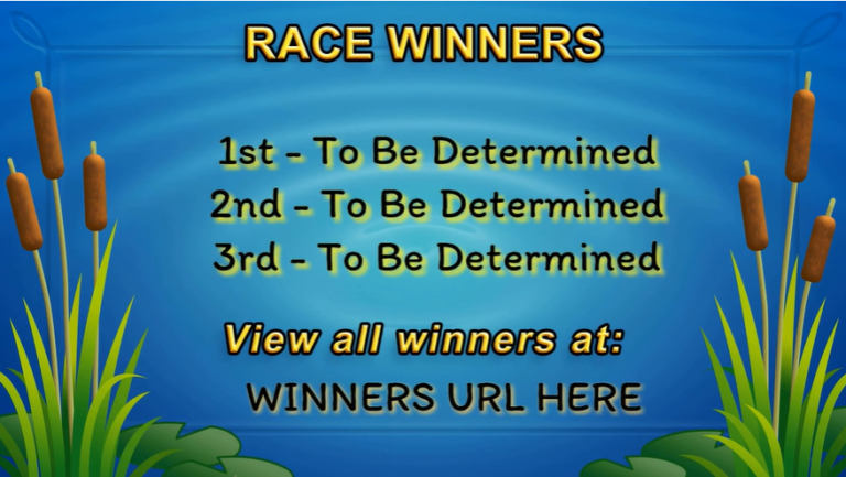 Virtual Duck Race – EZ Setup