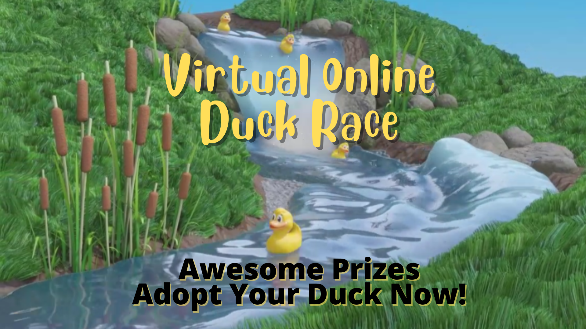 Marketing Materials — Virtual Online Duck Race